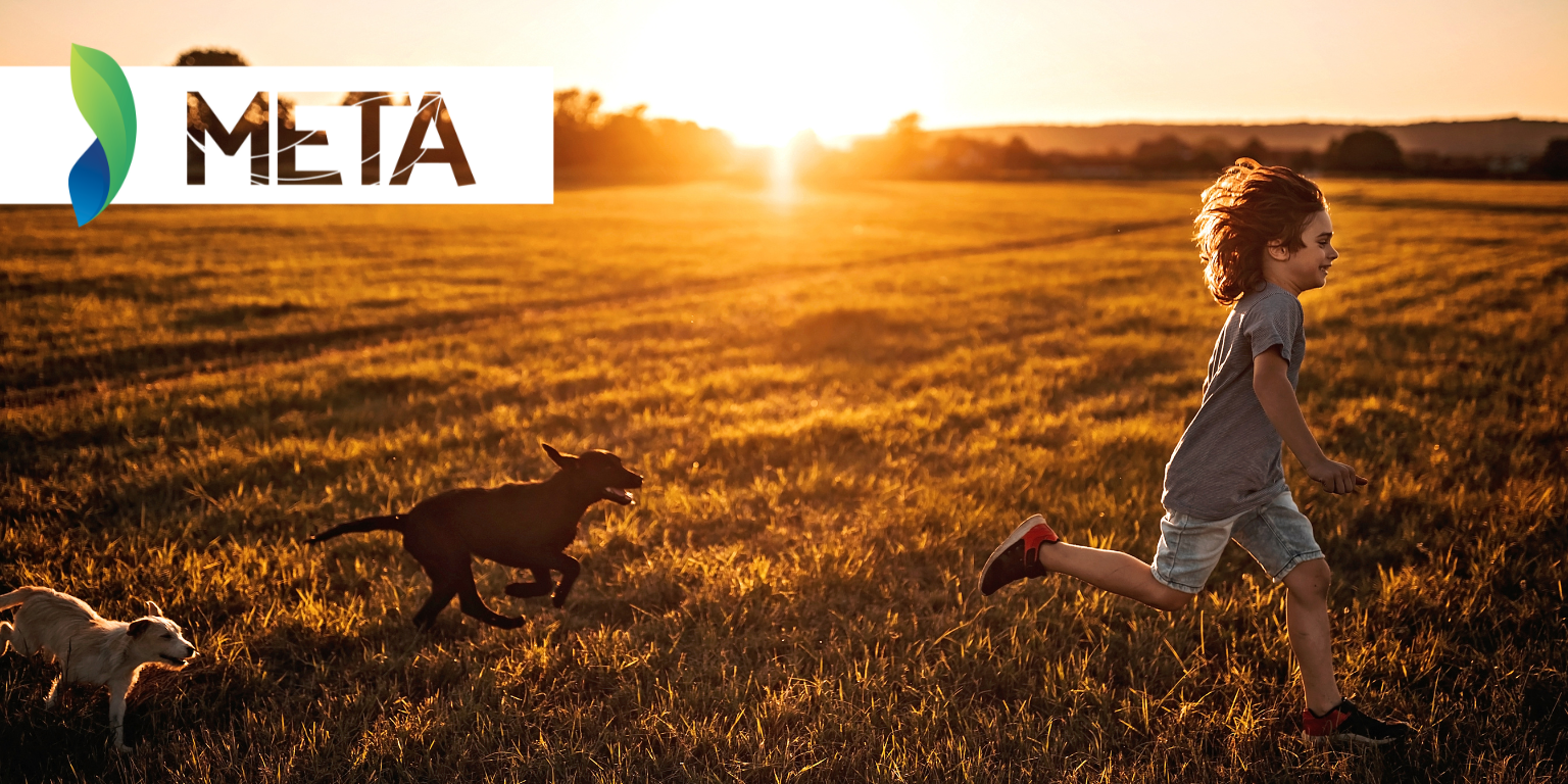 UN declares right to a healthy environment: can the EU keep up? - New Leaf