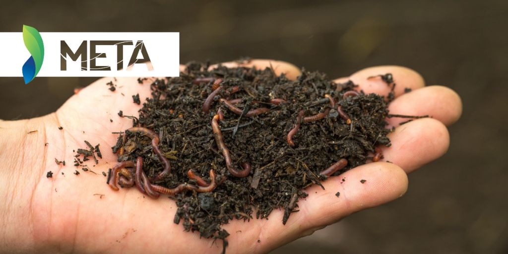 Soil: It’s the little things that make life