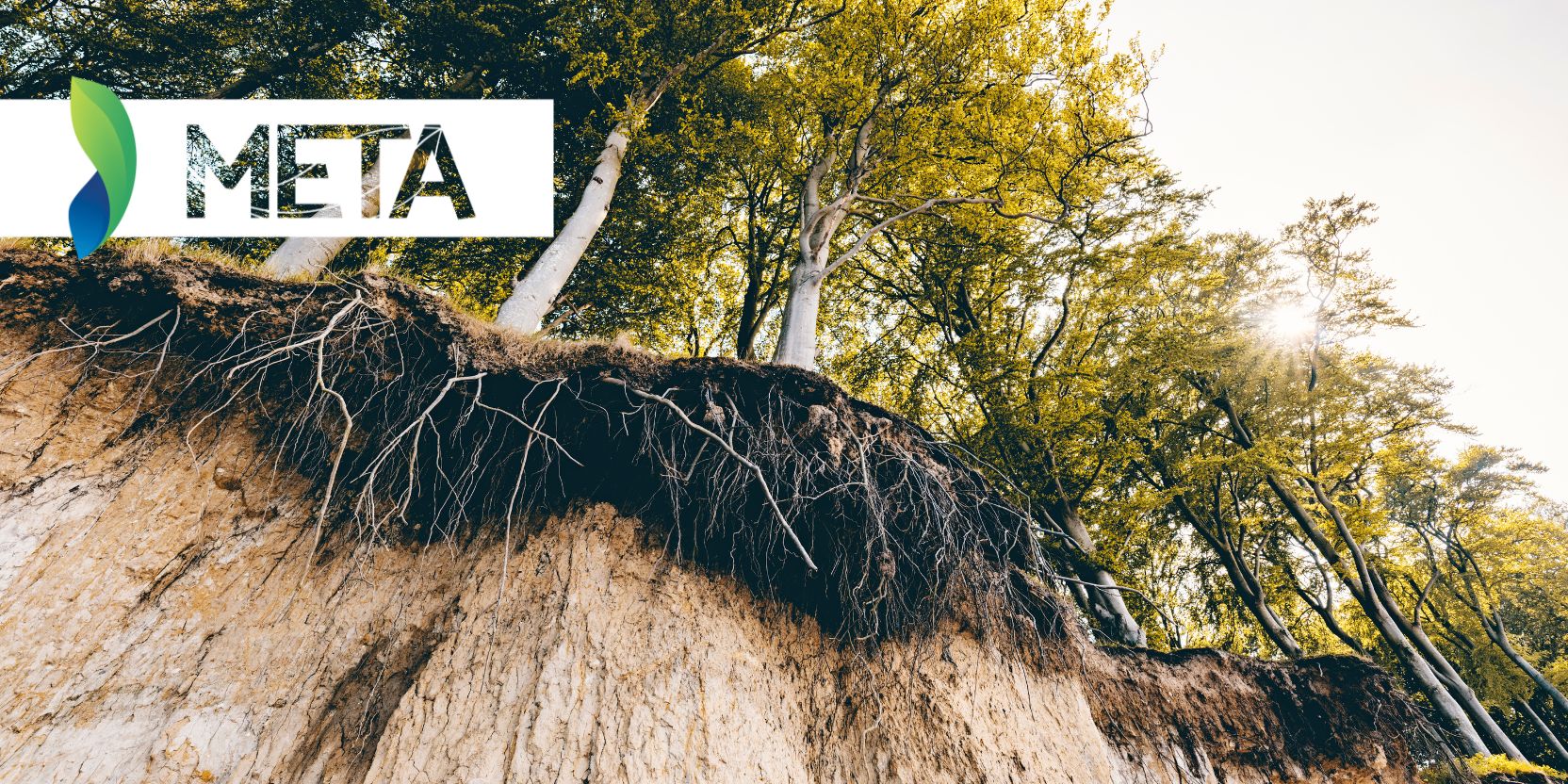 Crumbling foundations: what the EU is doing to protect soil health