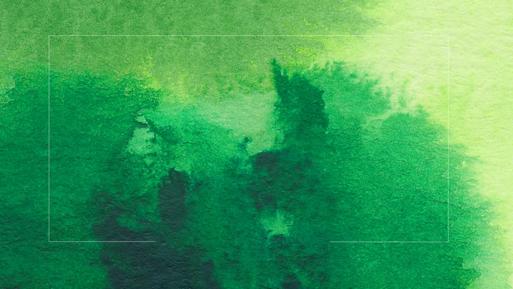 💣 POLITICAL BOMBS - New Leaf